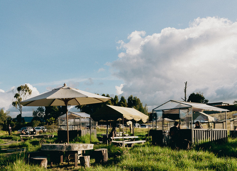 Restaurant – rufinastore